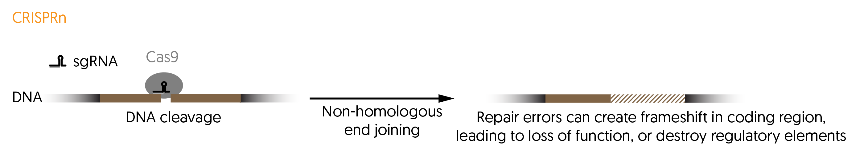 CRISPRlipid | Background